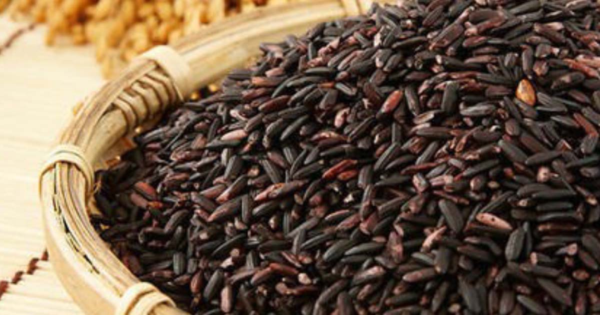 Black Rice – the Super food with potential to revamp our food palette