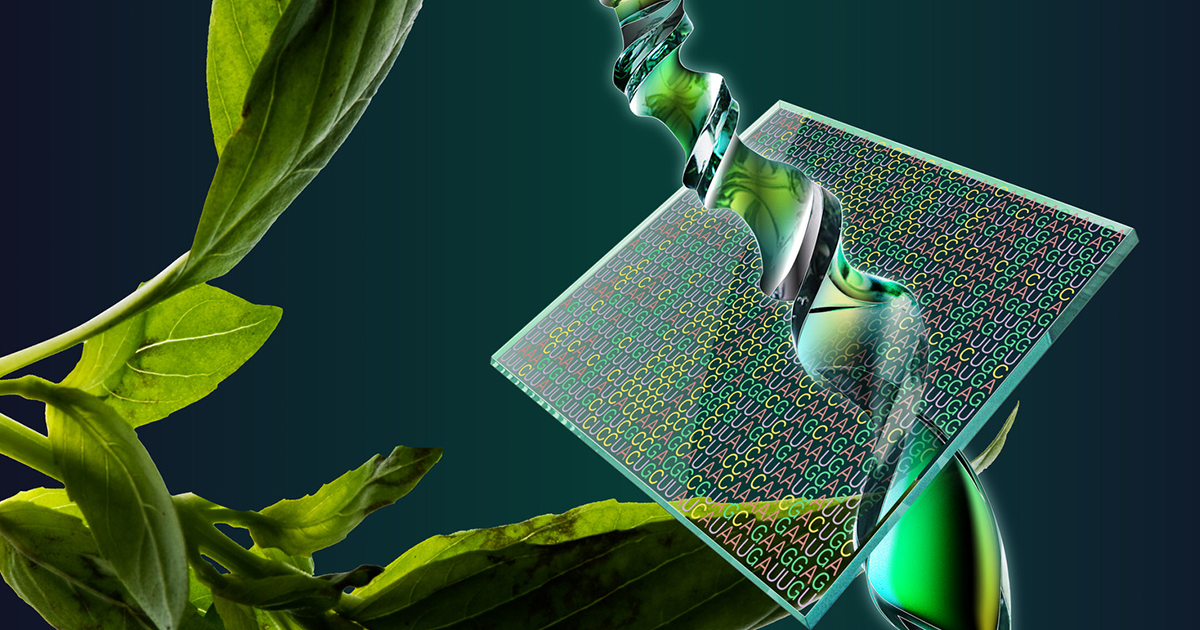 Complementary Tools Set to Accelerate the Agriculture Research to ...