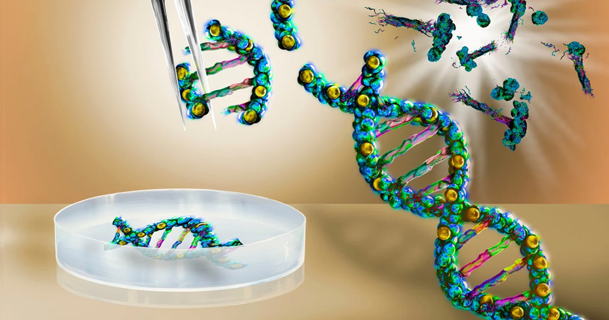 Genetic Revolution or Ethical Quandary - Seed Industry's Gene Editing ...