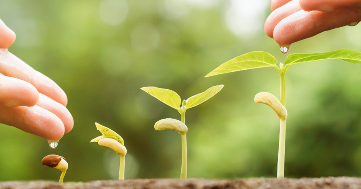 The Power of Collaboration in the Seed Industry: Cultivating Success ...