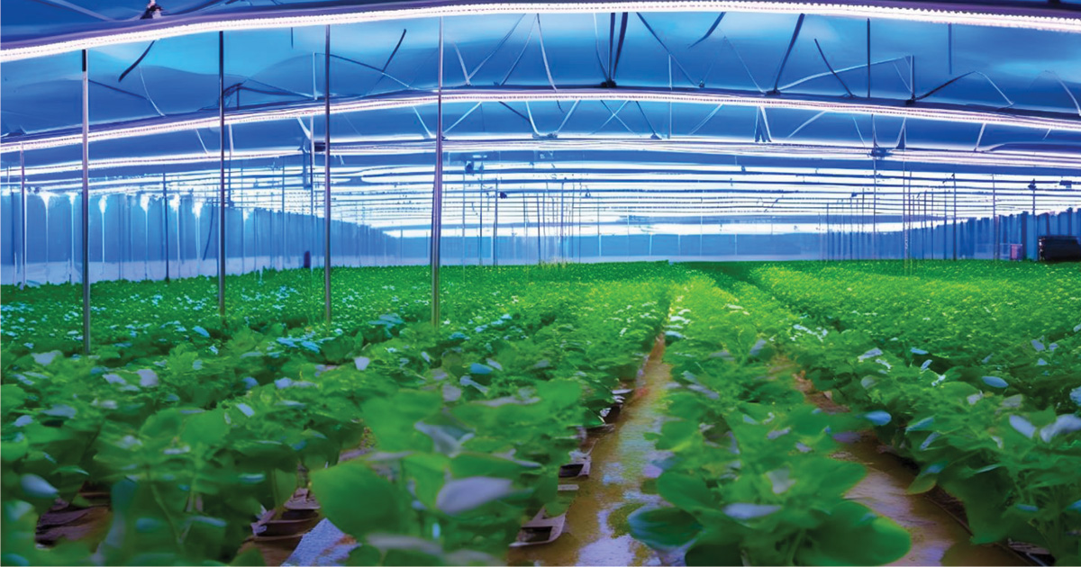 Crop Innovation in the Fast Lane: Unleashing the Potential of Speed ...