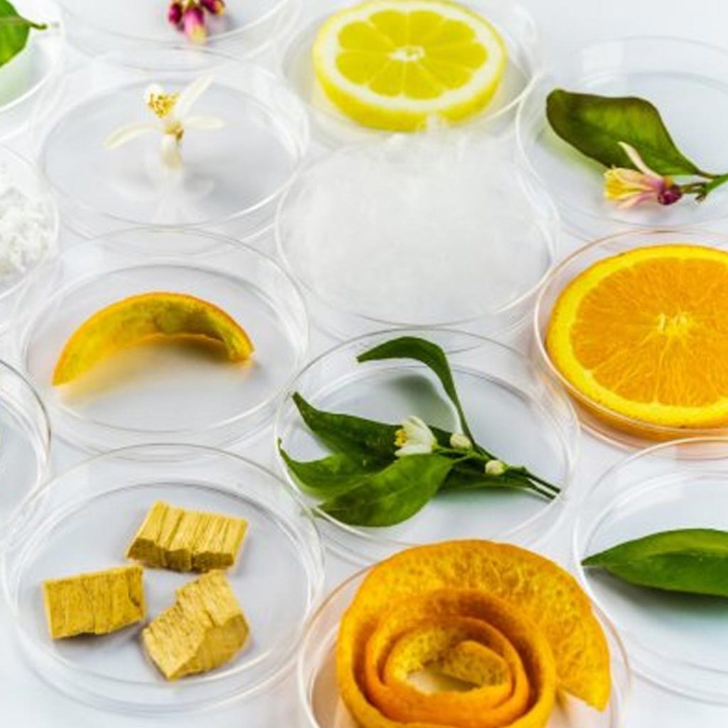 Harvesting Hope: Tackling Post-Harvest Losses in India's Fruit and ...