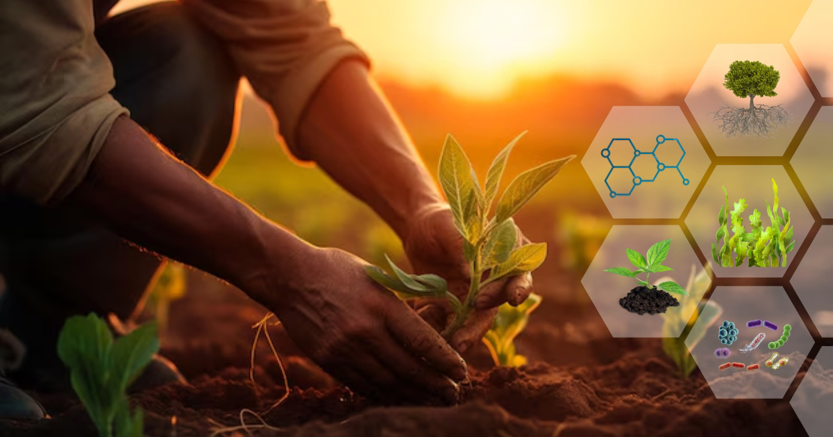 Biostimulants - The Alchemy of Modern and Future Agriculture Technology
