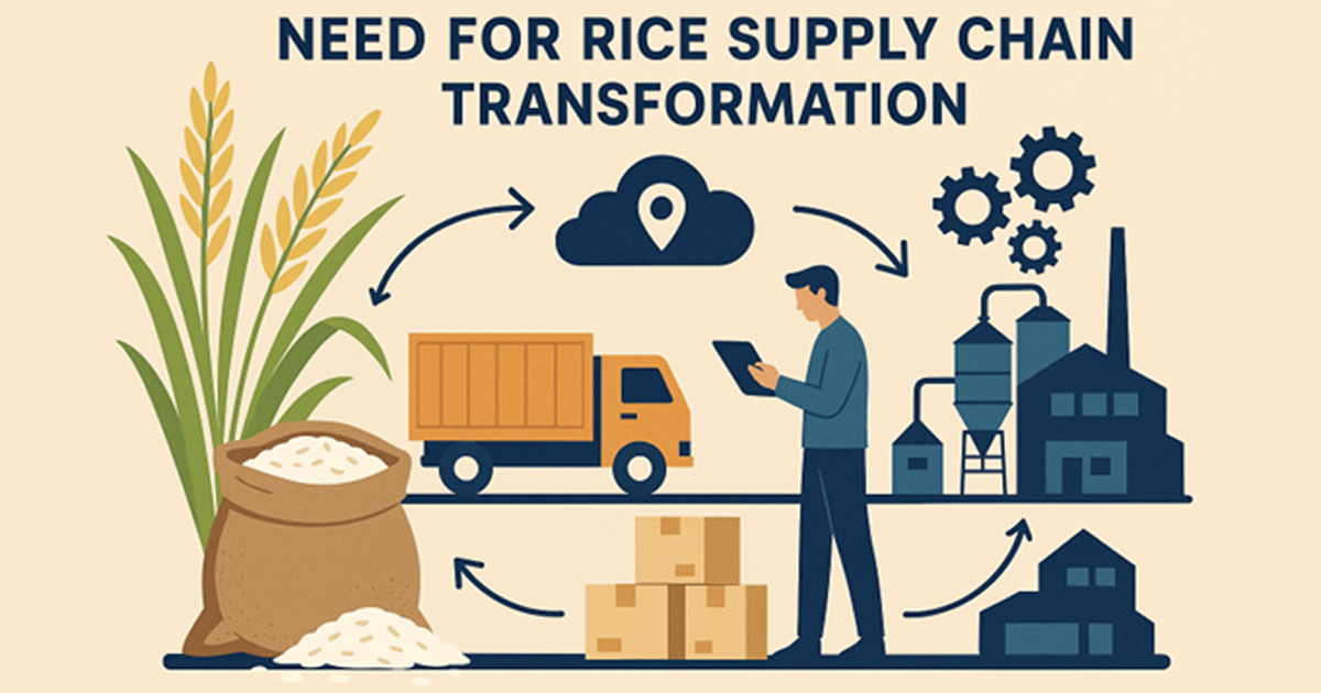 India’s Rice Exports and Virtual Water Trade: Need for Rice Supply ...